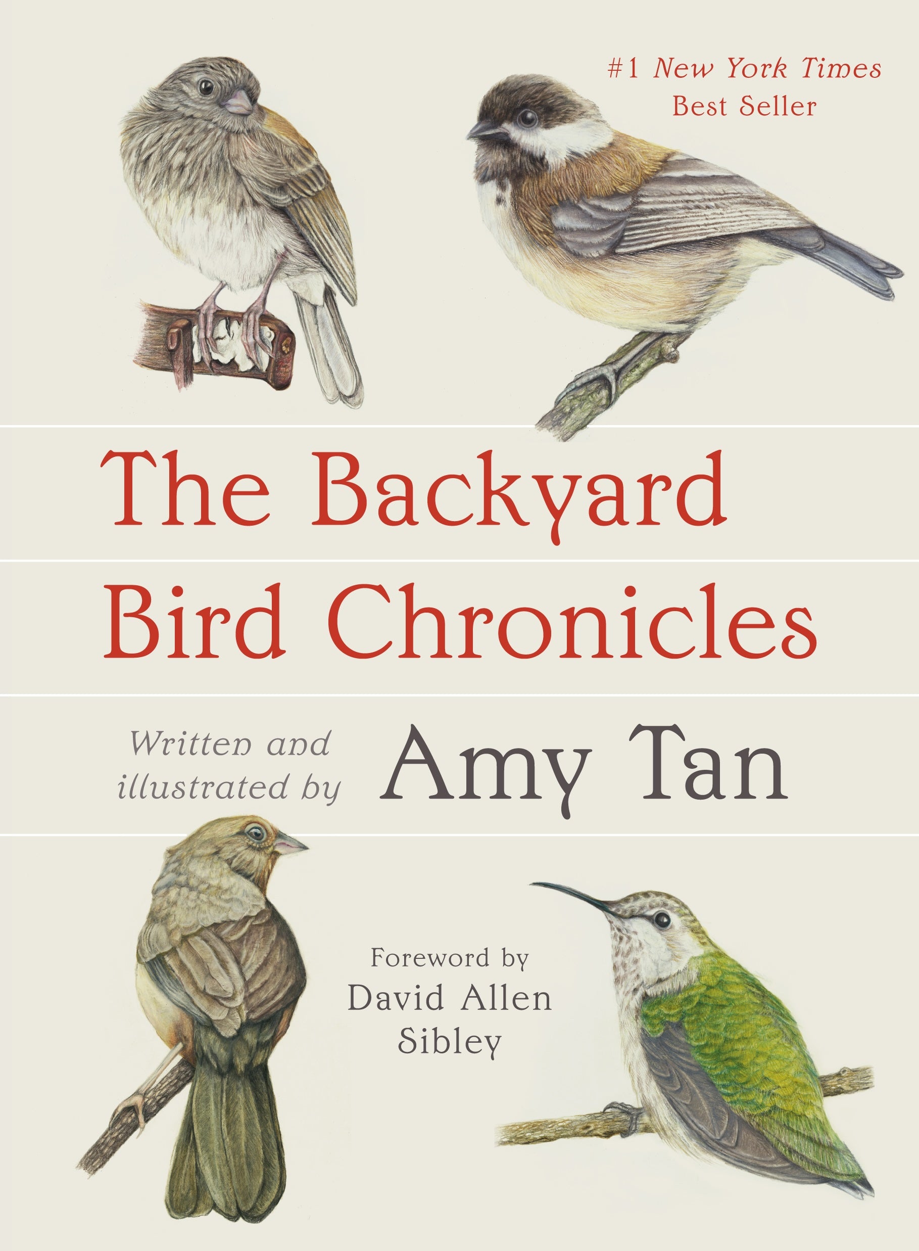 The Backyard Bird Chronicles by Amy Tan – Lost Pines Art Bazaar